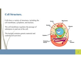 study of cellular level of organization. | PDF