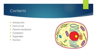 Cellular level of organization of human body.pptx