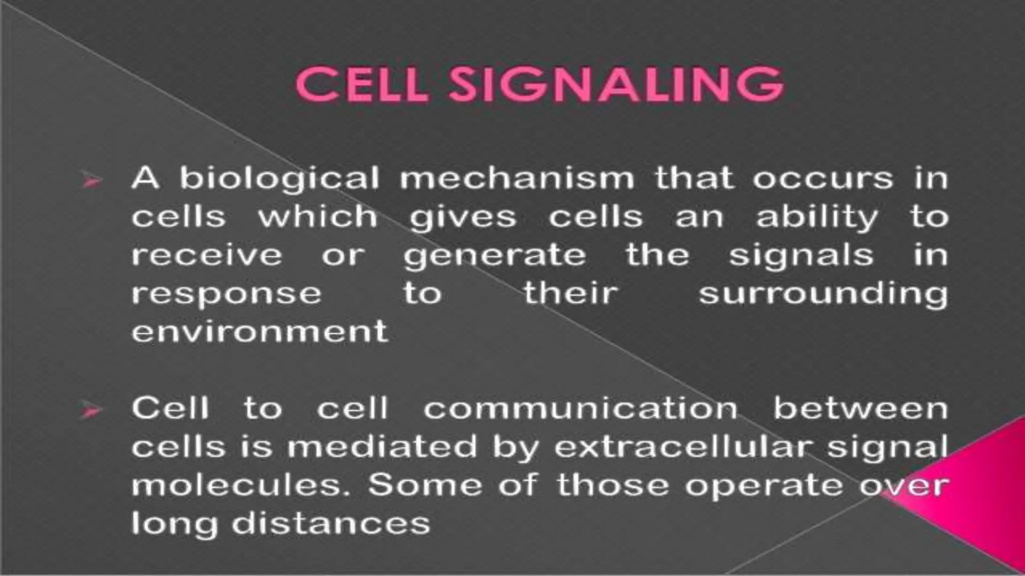cellular level of organization 2.pptx
