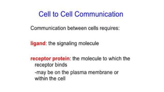 cellular level of organization 2.pptx