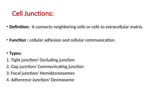 cellular level of organization 2 Anatomy physiology.pptx