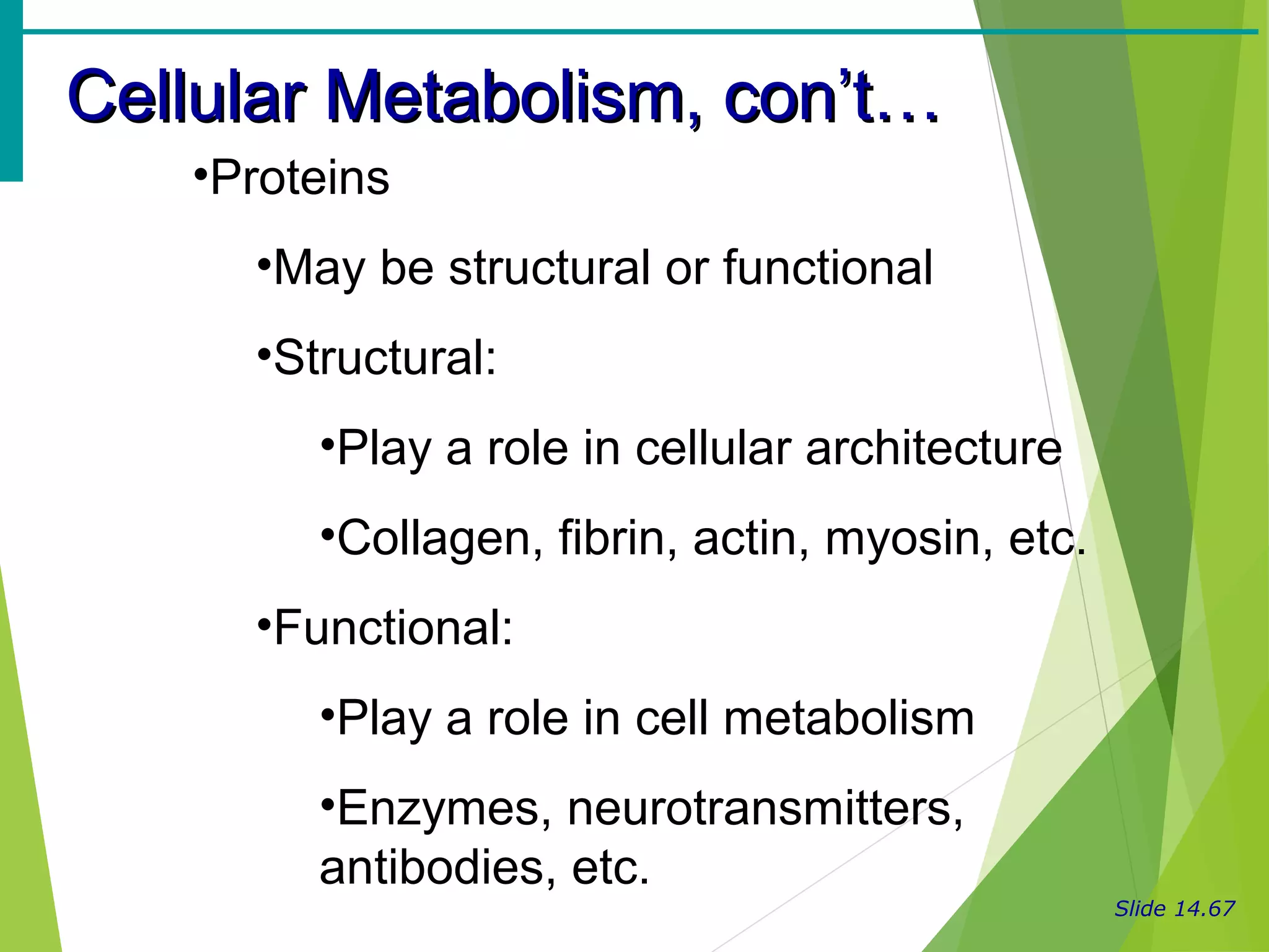 Cellular metabolism | PPT
