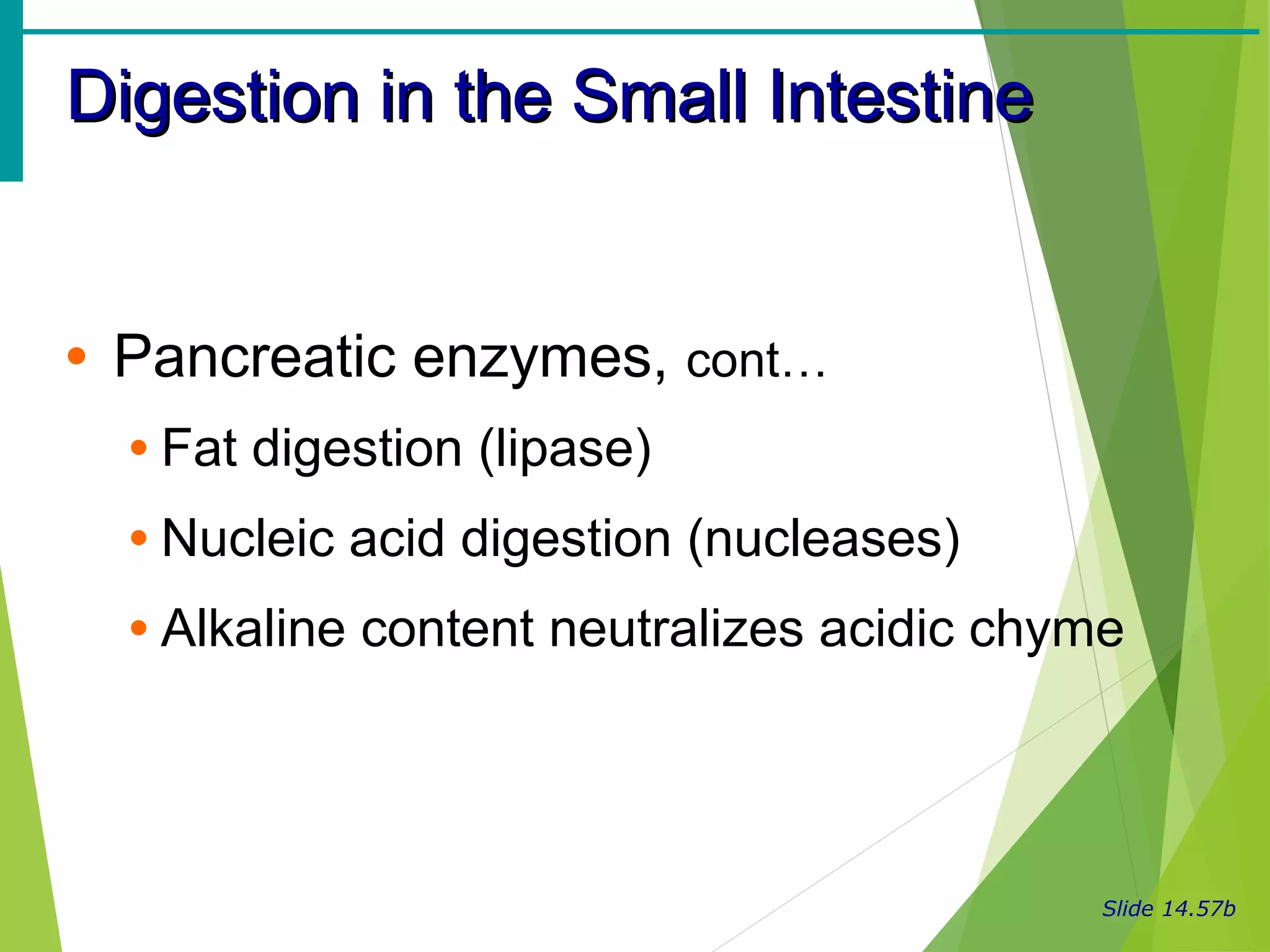 Cellular metabolism | PPT