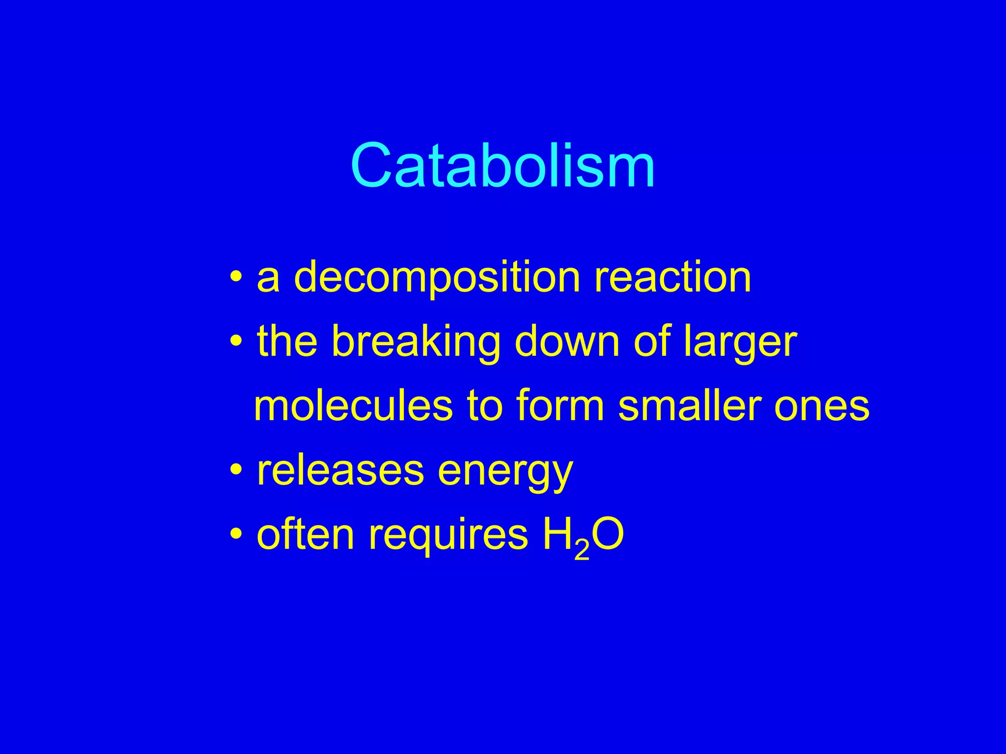 Cellular Metabolism.ppt