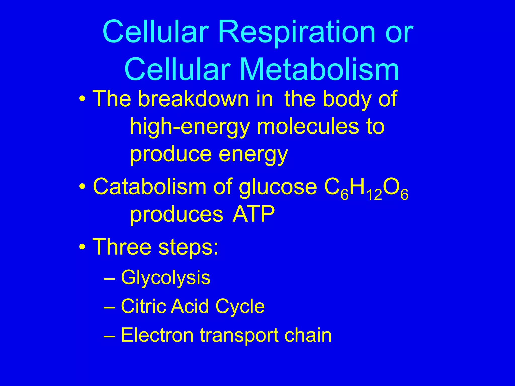 Cellular Metabolism.ppt