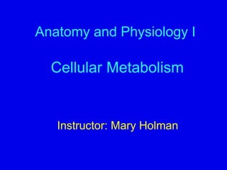 Cellular Metabolism.ppt