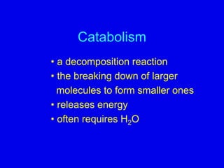 Cellular Metabolism.ppt