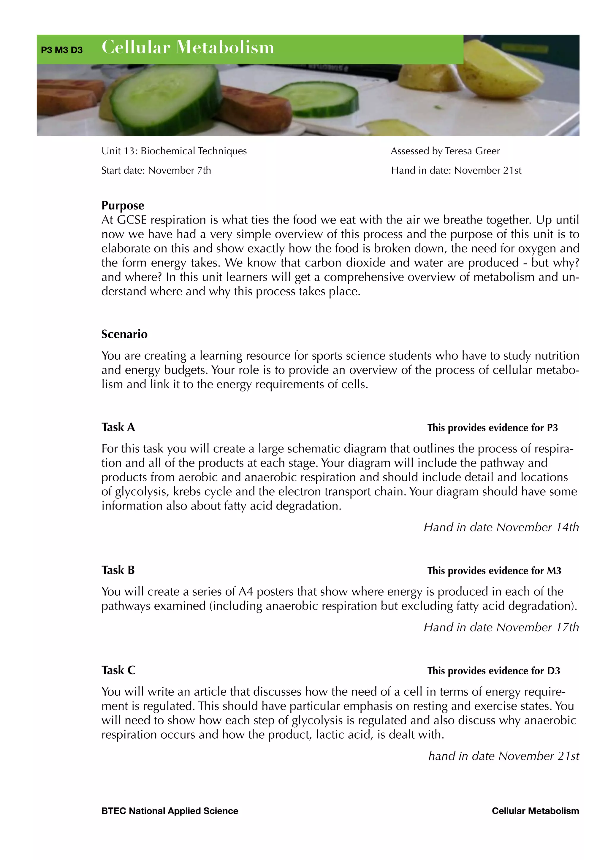 Cellular Metabolism Assignment | PDF