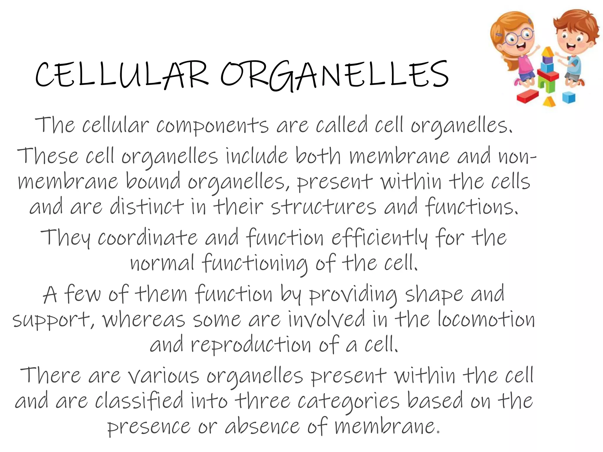 CELLULAR ORGANELLES.pptx