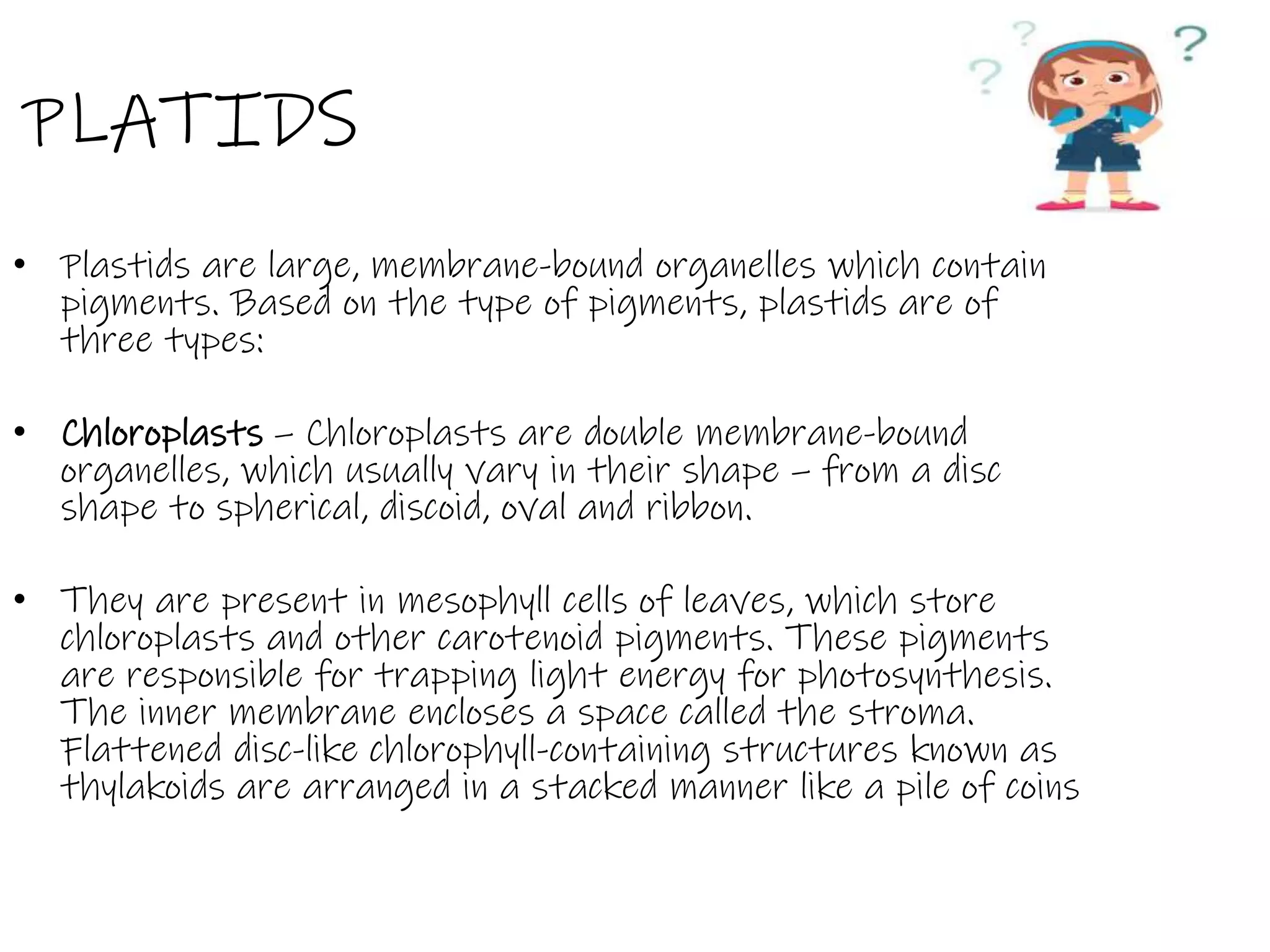 CELLULAR ORGANELLES.pptx