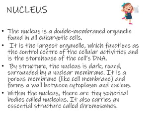 CELLULAR ORGANELLES.pptx