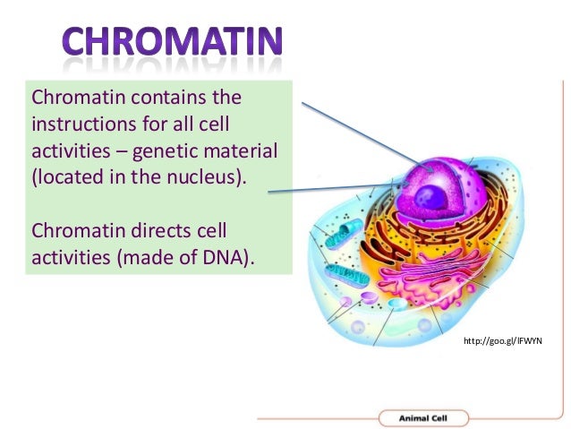 Cellularorganelleslrms