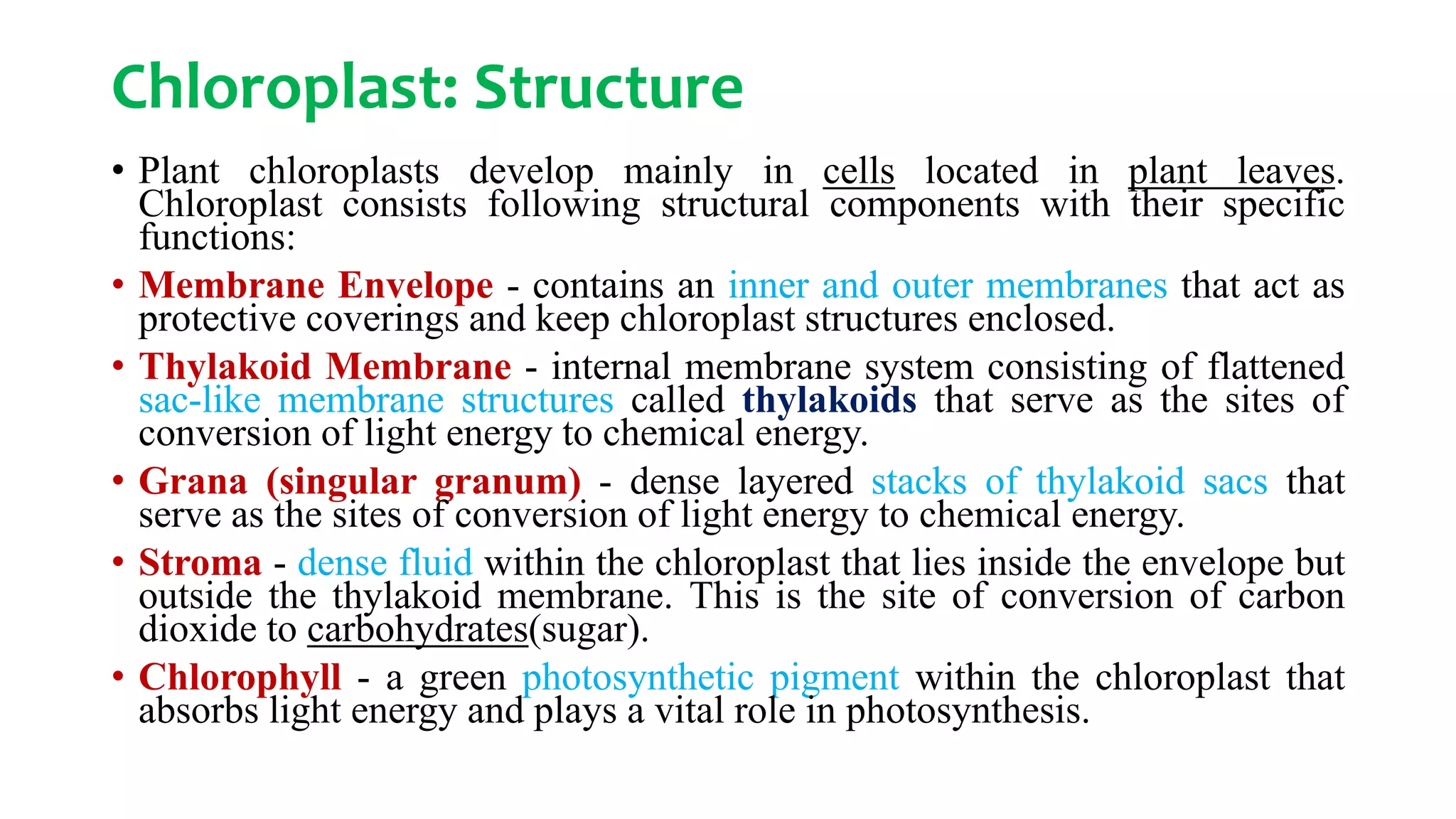 Cellular organelles nucleus, mitochondria & plastids | PPTX