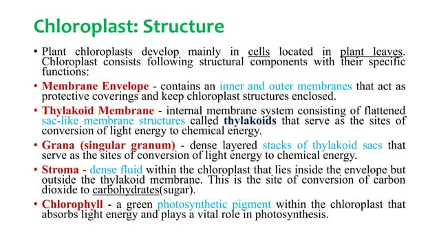 Cellular organelles nucleus, mitochondria & plastids | PPTX