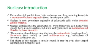 Cellular organelles nucleus, mitochondria & plastids | PPTX