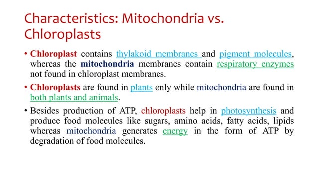 Cellular organelles nucleus, mitochondria & plastids | PPTX