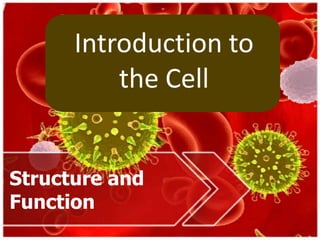 Cellular organisation 6 class | PPTX