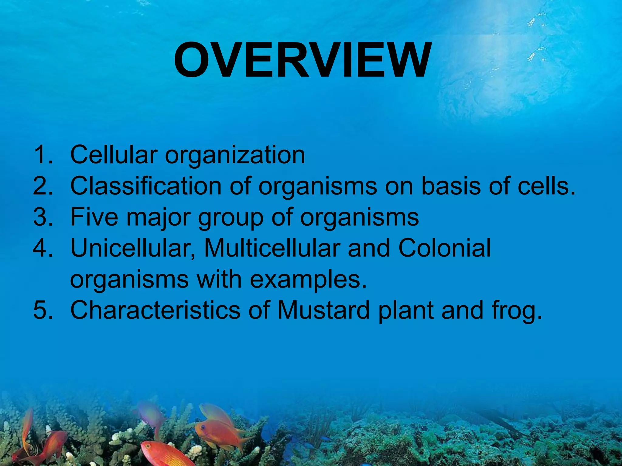 Cellular organization | PDF