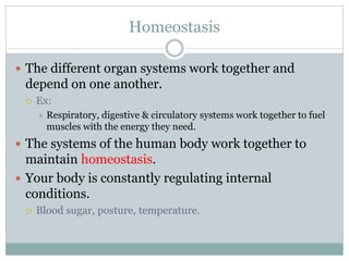 Cellular_Organization.ppt