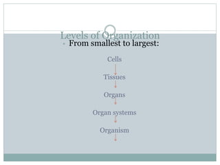 Cellular_Organization.ppt