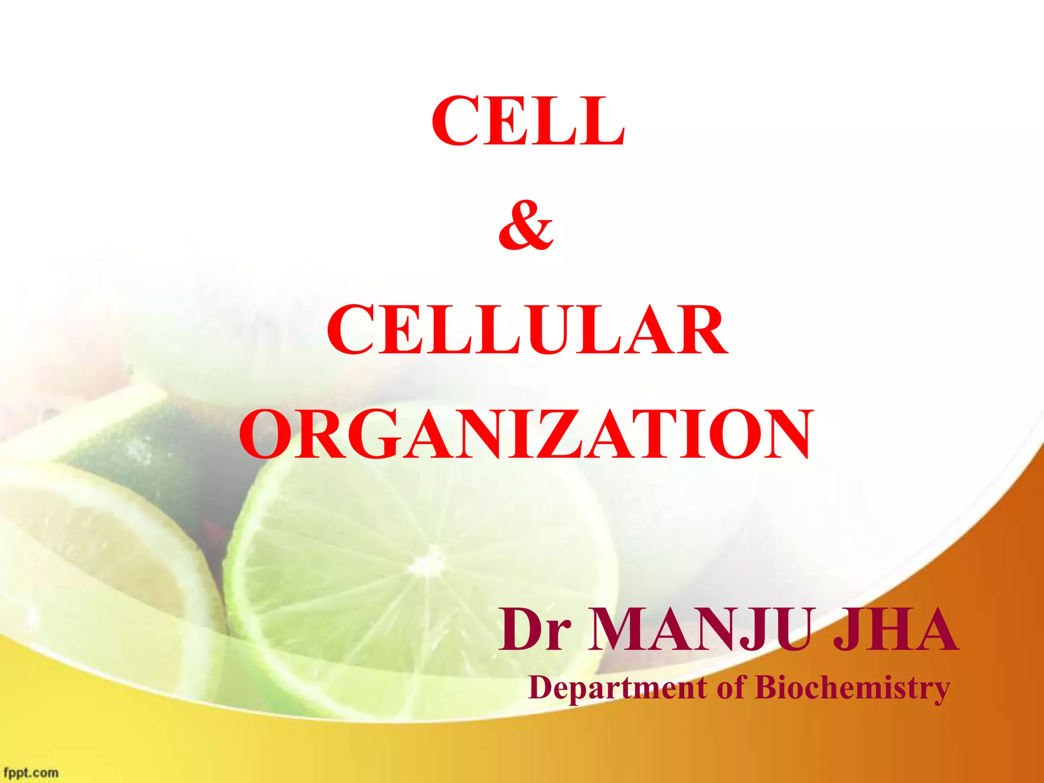 CELLULAR ORGANIZATION.pptx