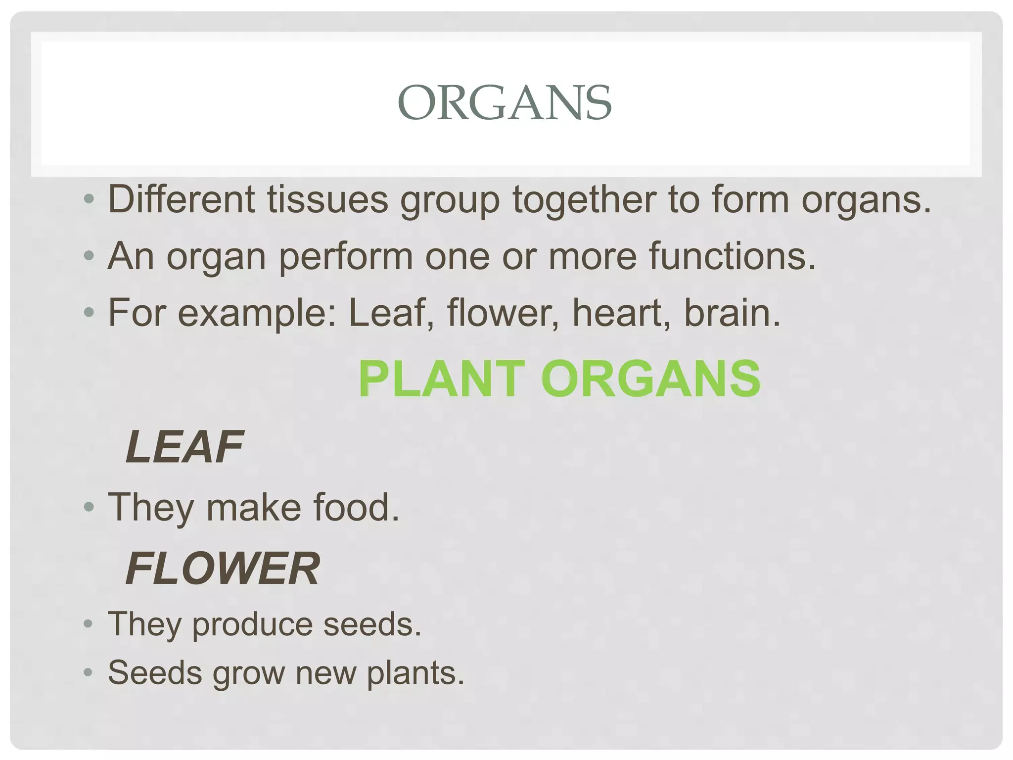 Cellular organization of plants and animals | PPTX
