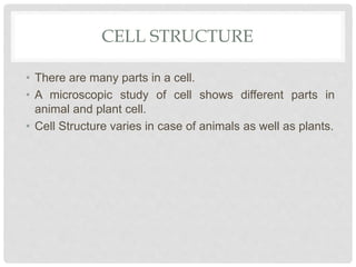 Cellular organization of plants and animals | PPTX