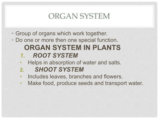 Cellular organization of plants and animals | PPTX