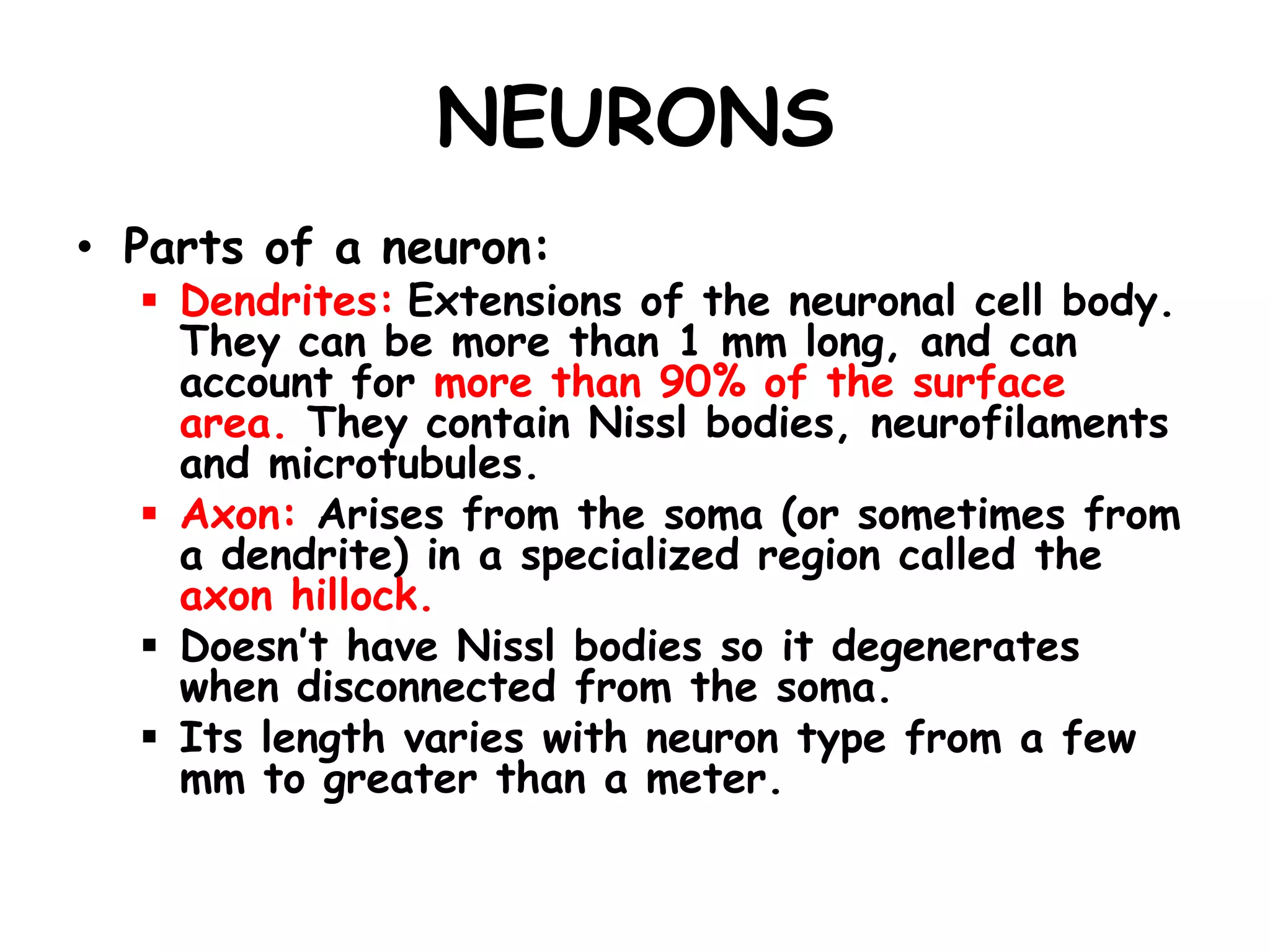 Cellular organization of the nervous system | PPTX