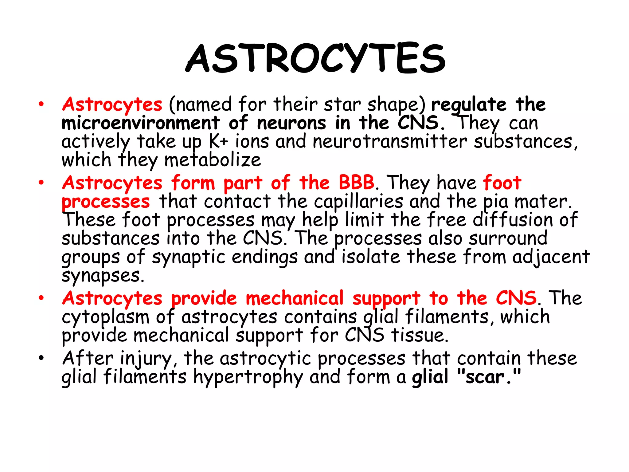 Cellular organization of the nervous system | PPTX