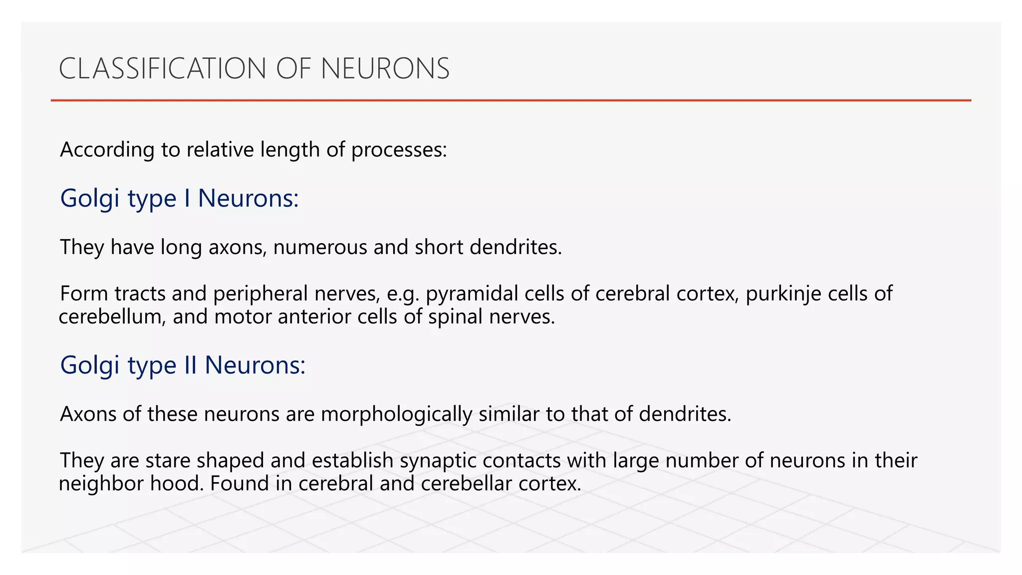 Cellular organization of the nervous system | PPTX
