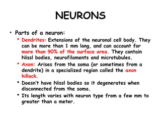 CELLULAR ORGANIZATION OF THE NERVOUS SYSTEM.pptx