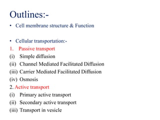 Cellular transport | PPTX