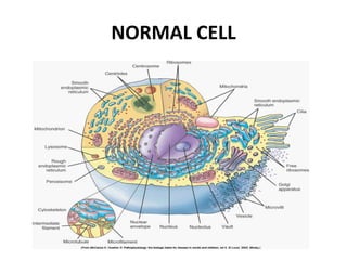Cellular pathology | PPTX
