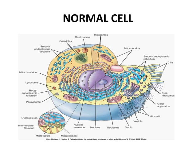 Cellular pathology | PPTX