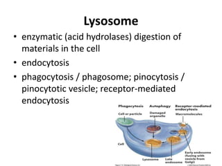 Cellular pathology | PPTX
