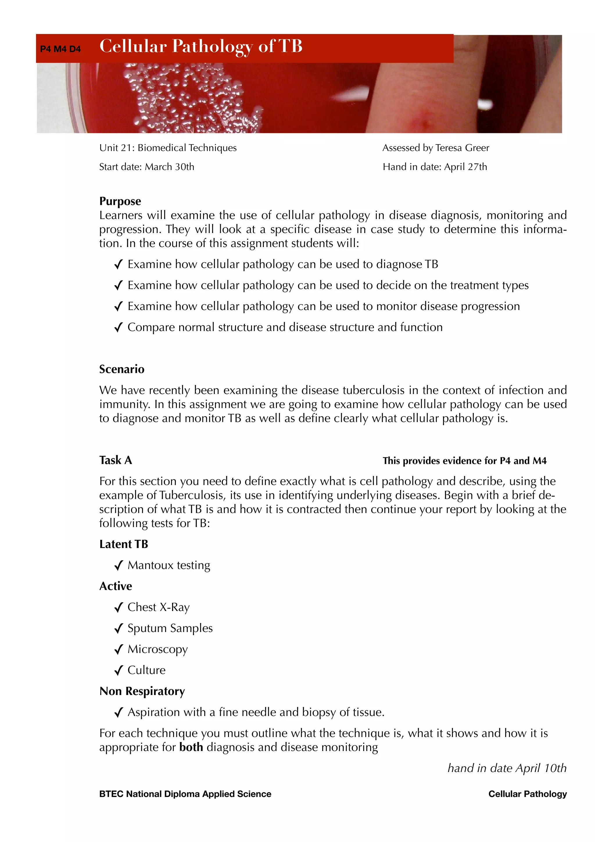 Cellular Pathology Assignment | PDF