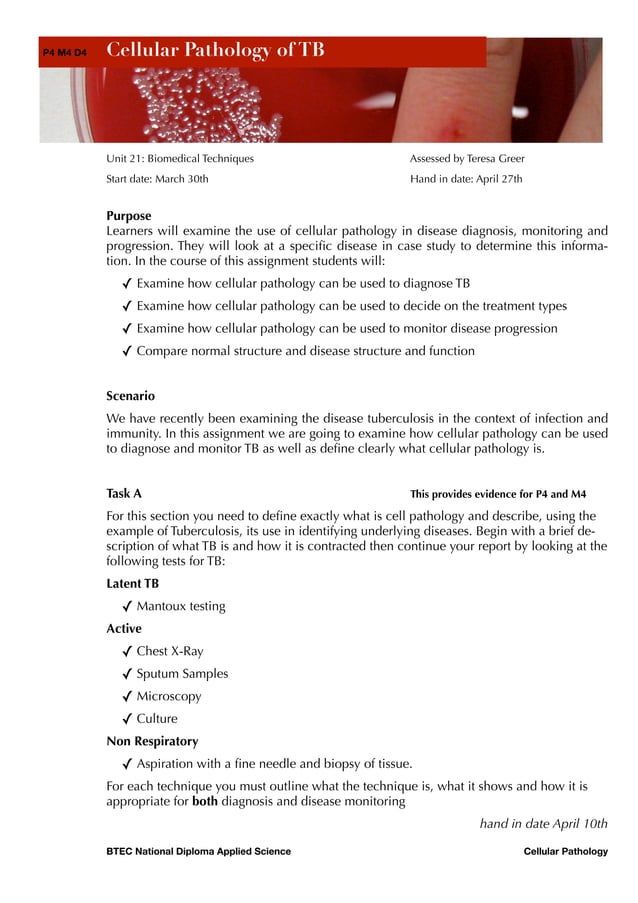Cellular Pathology Assignment | PDF