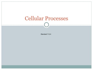 Cellular processes | PPT