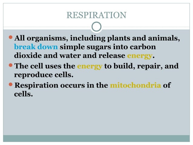 Cellular processes | PPT