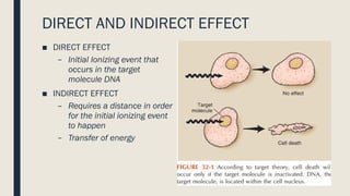 Cellular Radiobiology presentation need. | PPTX
