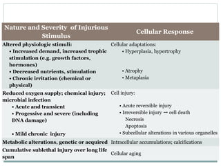 Cellular Reactions to Injury.pptx | Endocrine and Metabolic Diseases ...