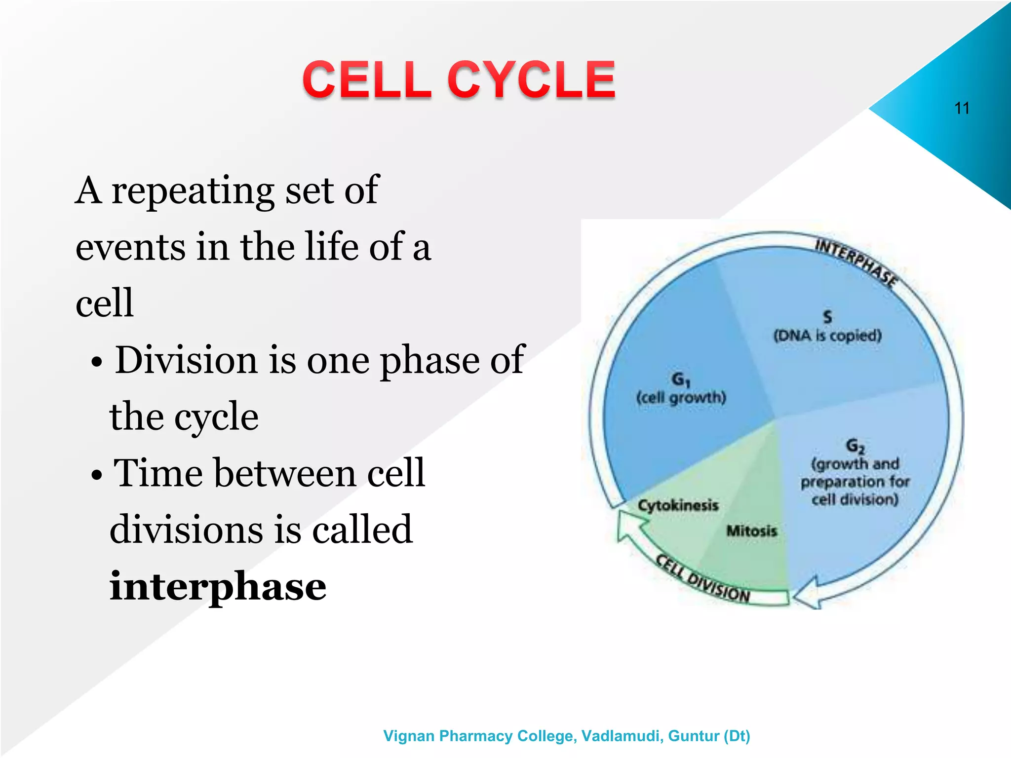 Cellular Reproduction | PPTX