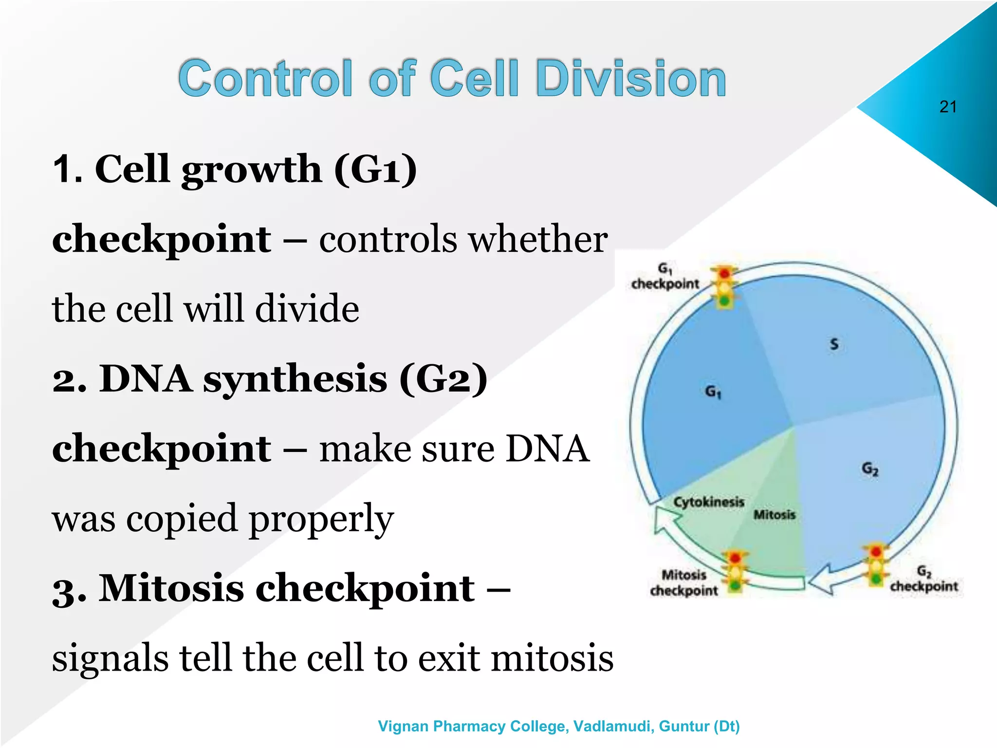 Cellular Reproduction | PPTX