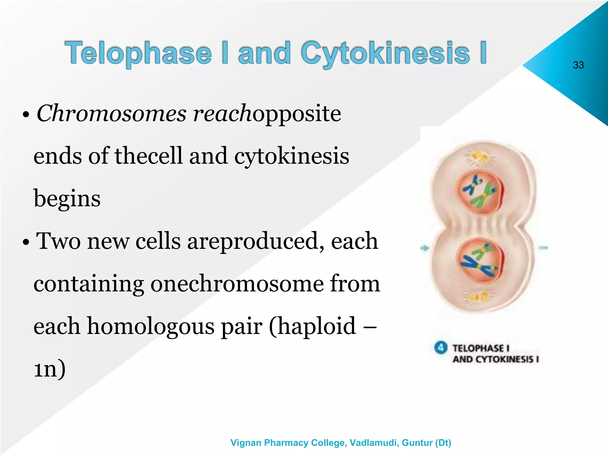 Cellular Reproduction | PPTX
