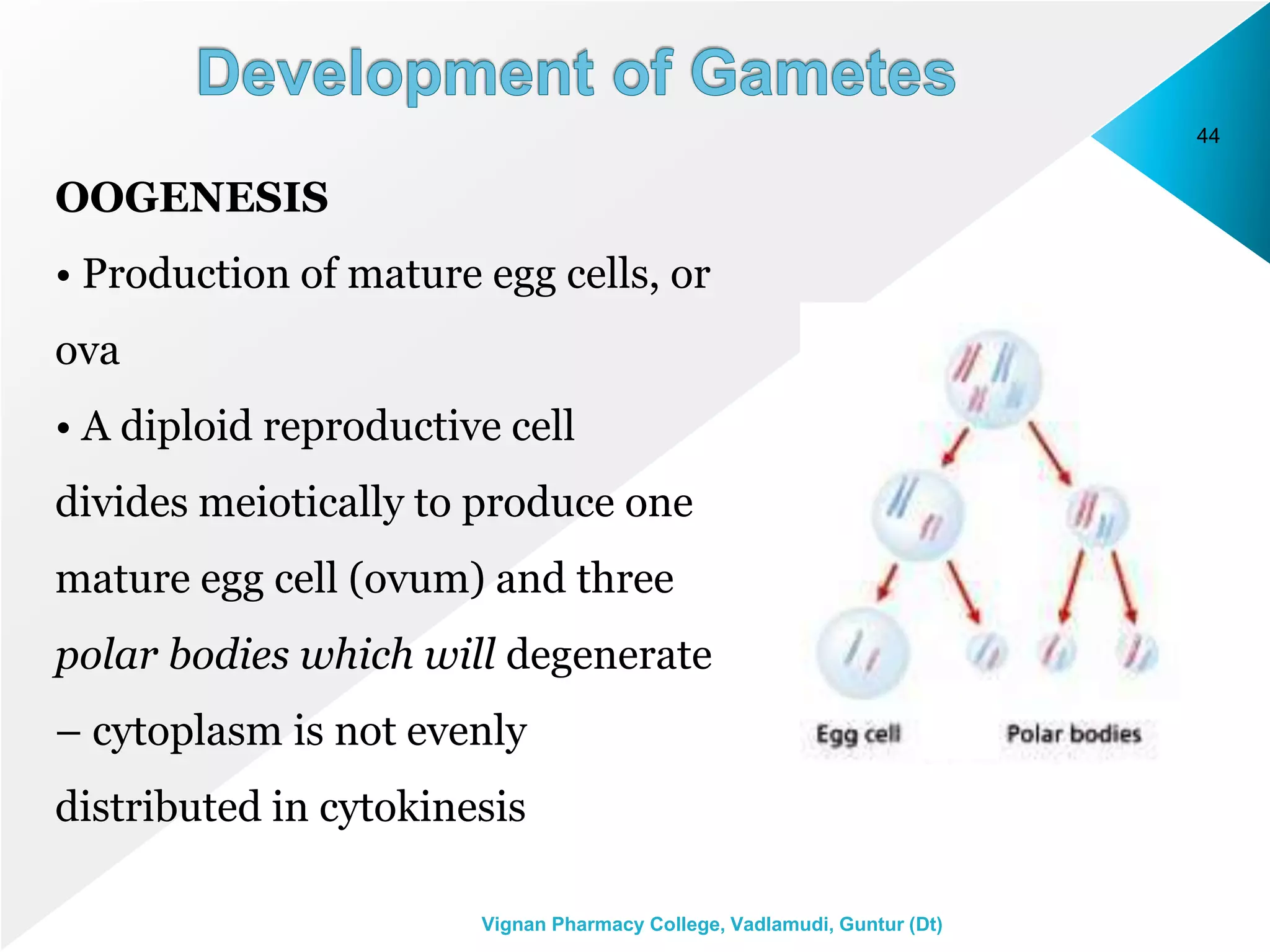 Cellular Reproduction | PPTX