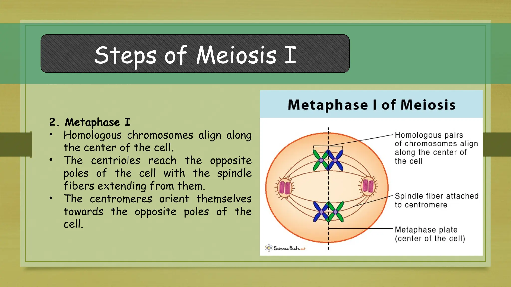 Cellular Reproduction microbiologyy.pptx