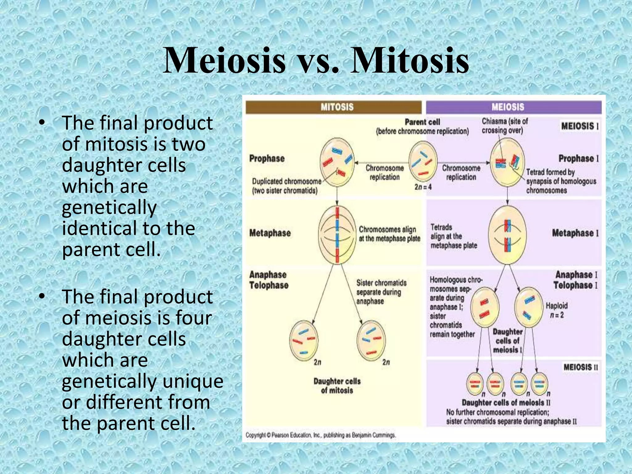 Cellular reproduction ppt | PPTX