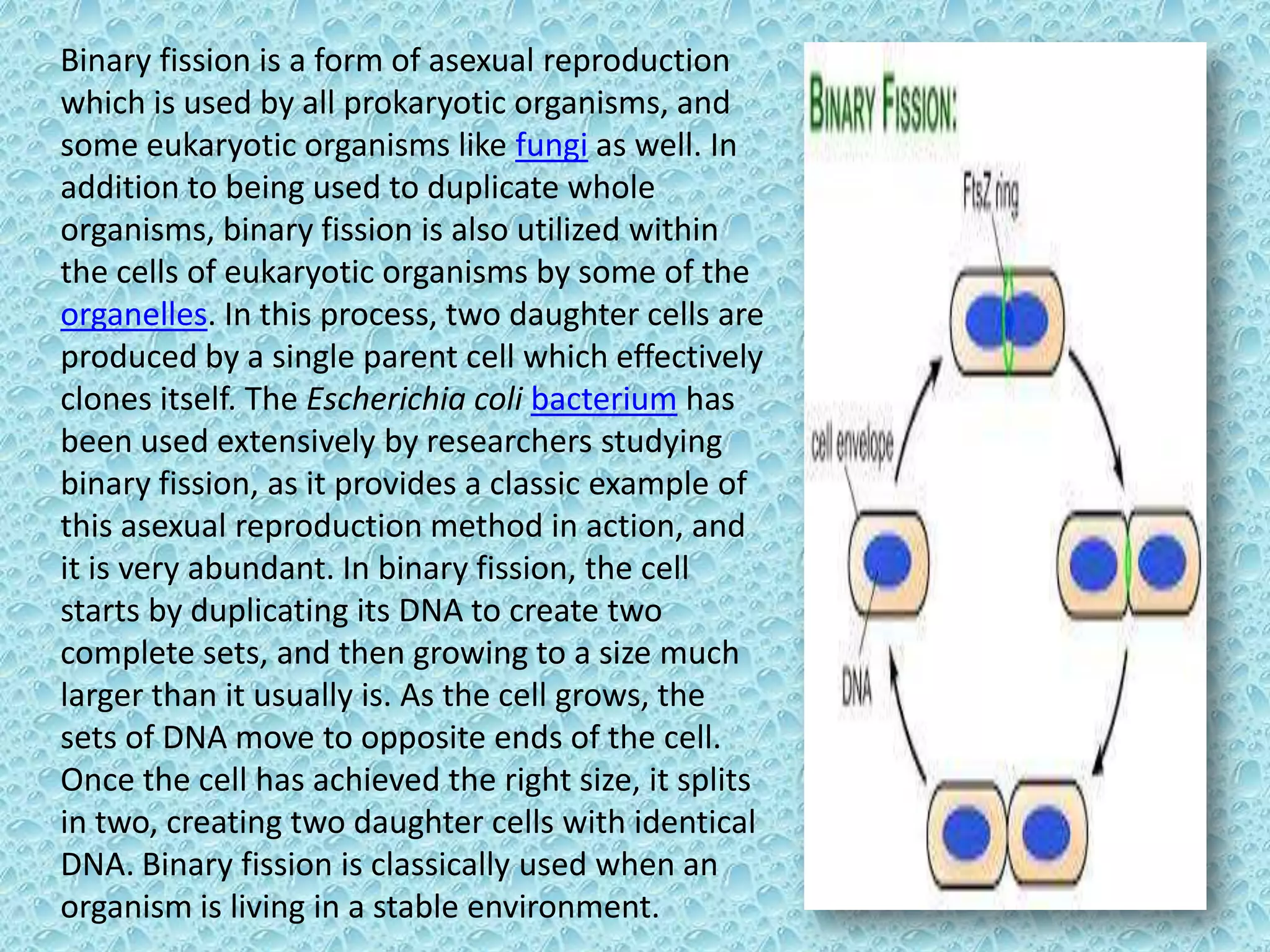 Cellular reproduction ppt | PPTX