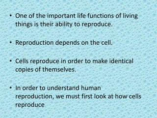 Cellular reproduction ppt | PPTX
